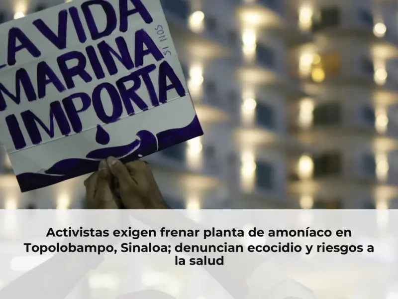 ᐈ Activistas exigen frenar planta de amoníaco en Topolobampo, Sinaloa ...